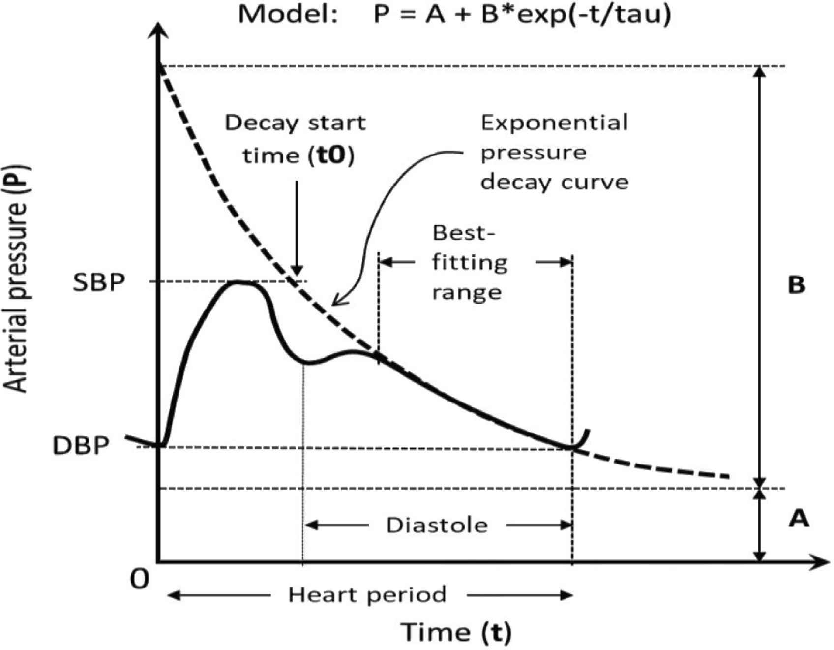 Dissociation of Carotid and Forearm Pressure Decay Constants (tau ...