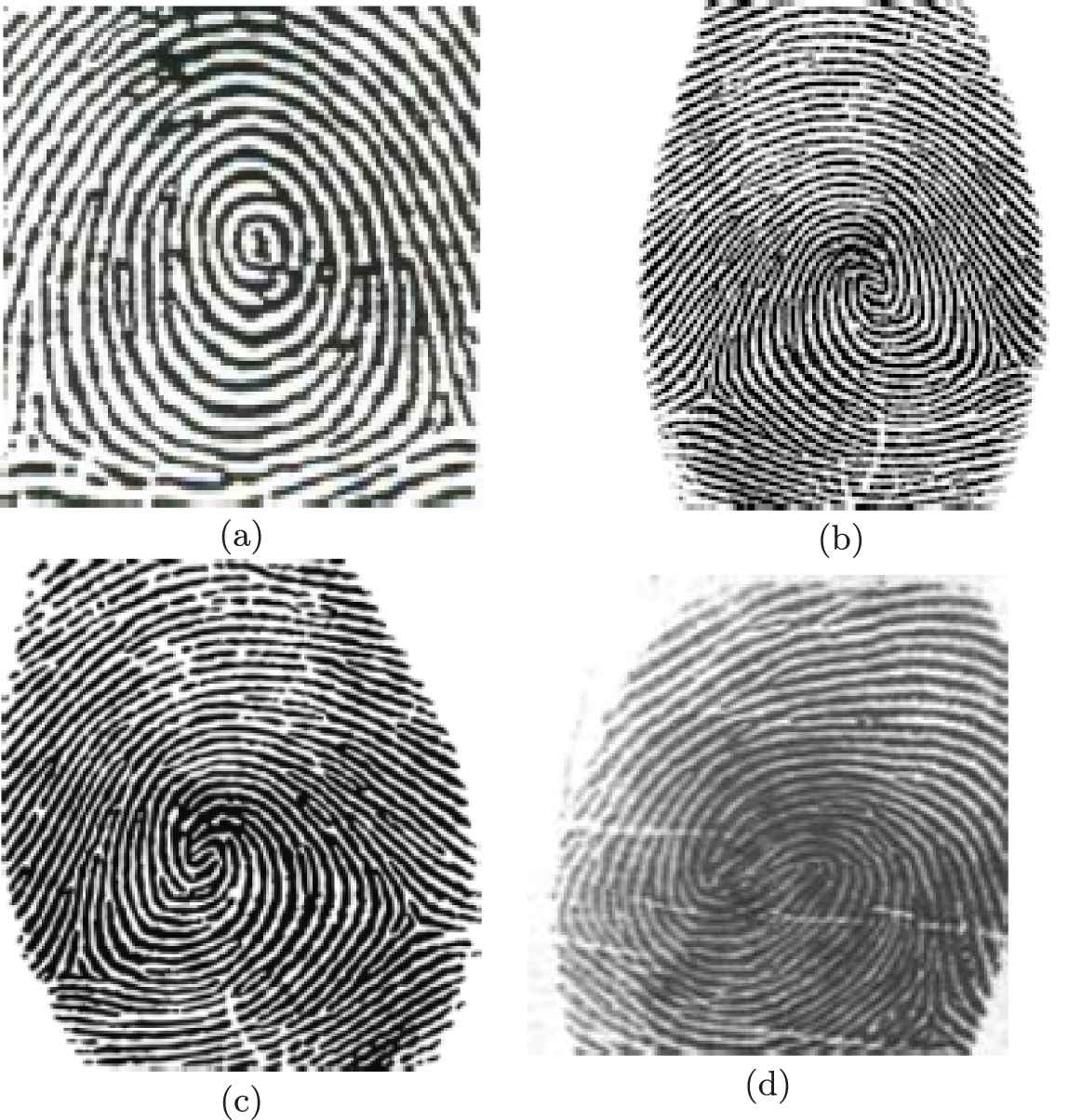 The Mathematical Model and Deep Learning Features Selection for Whorl Fingerprint ...